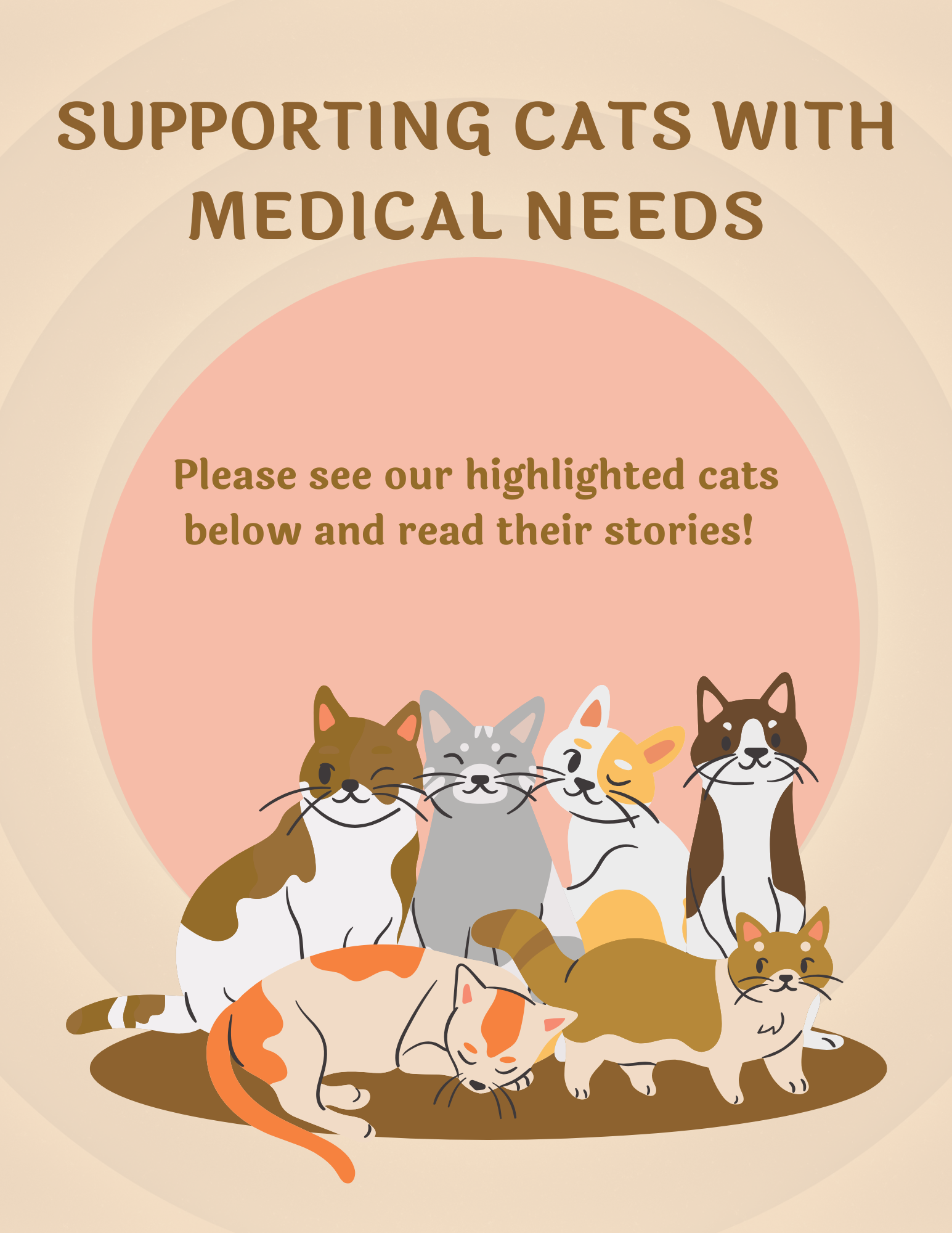 Our cats in need of medical care: Loverboy, Apollo, Midnight, Stella ...