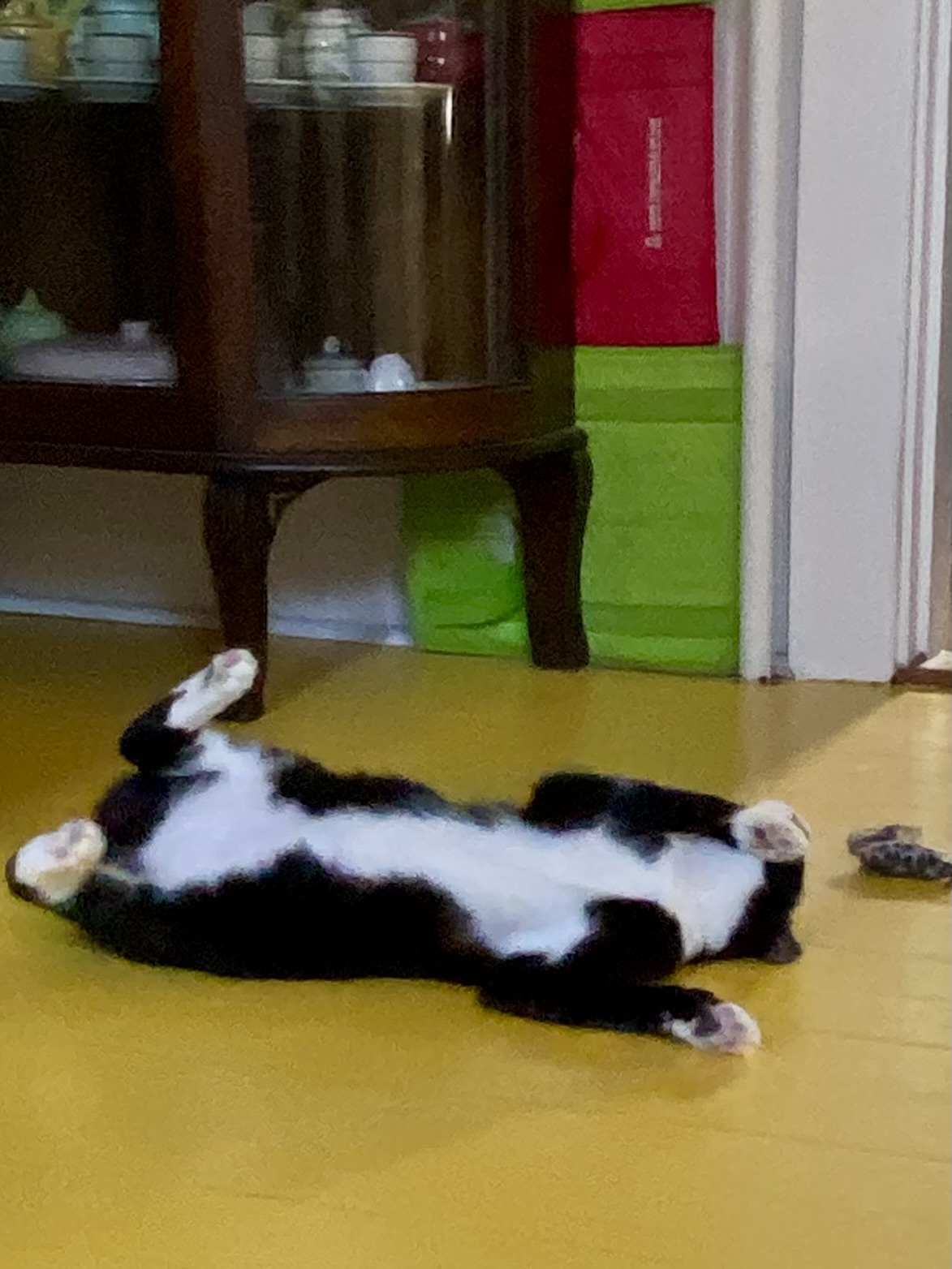 Ruby - Kitty Connection