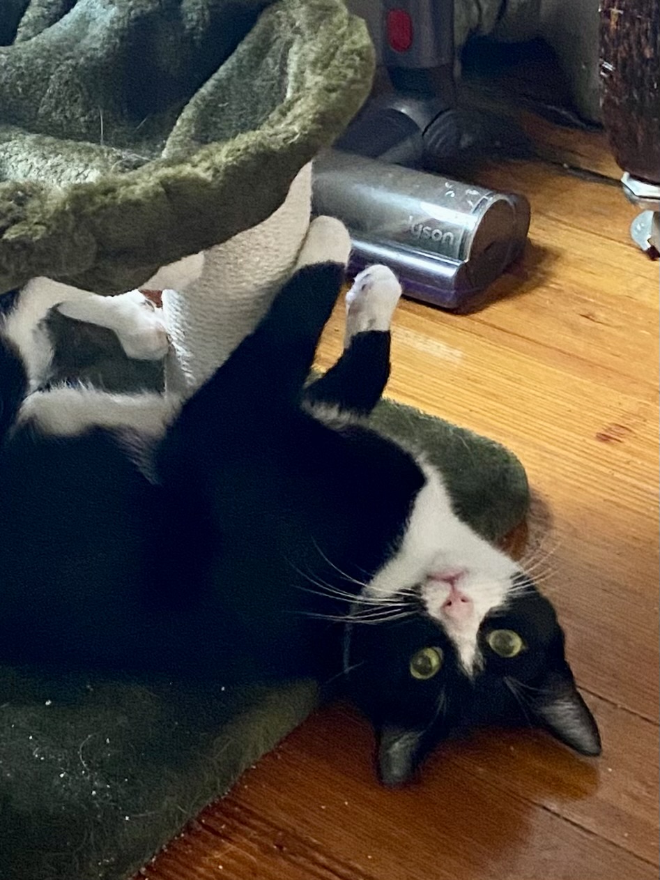 Ruby - Kitty Connection